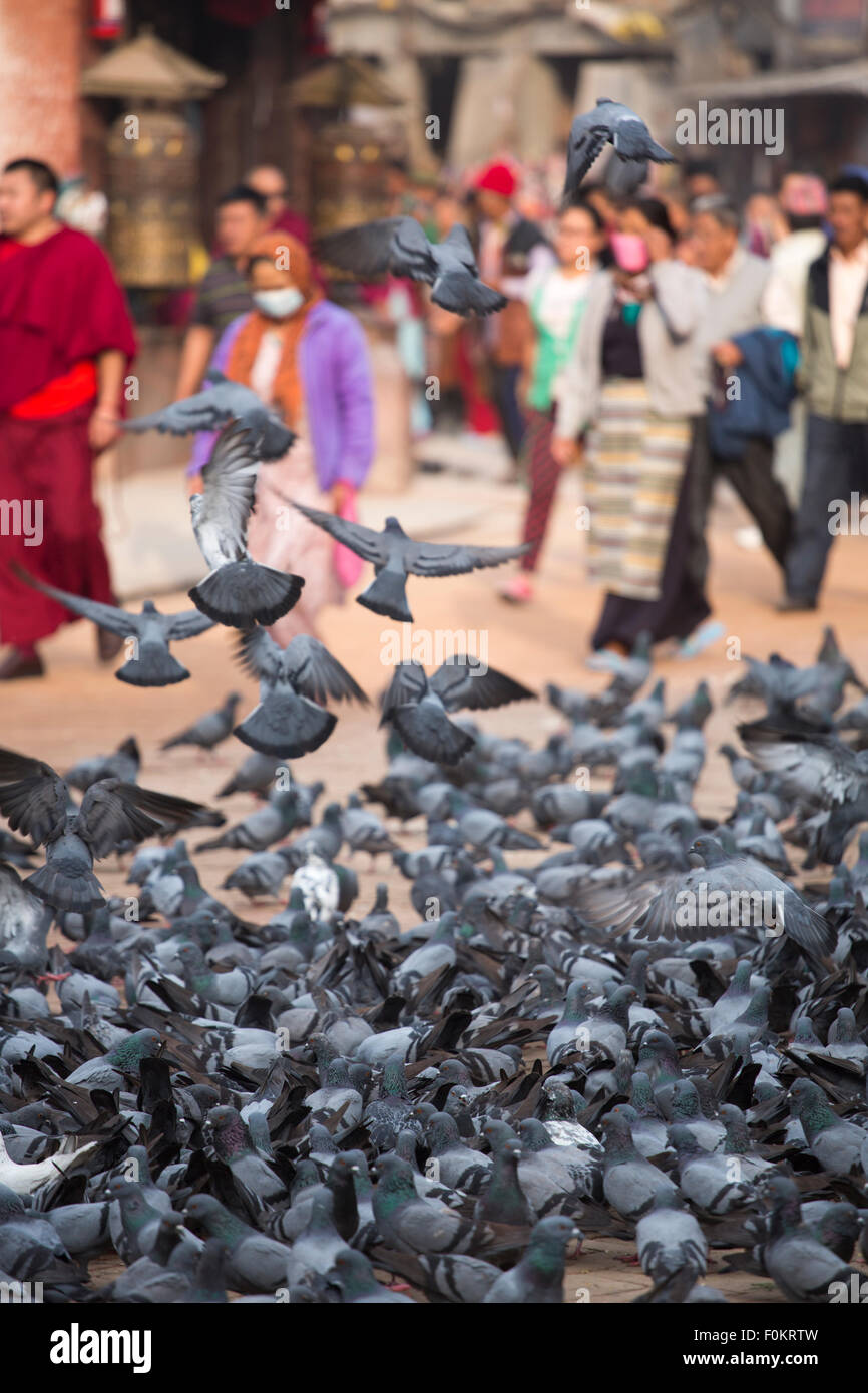 Monk and flock of pigeons hi-res stock photography and images - Alamy