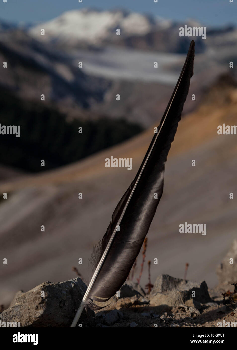 Mountain feather hi-res stock photography and images - Alamy
