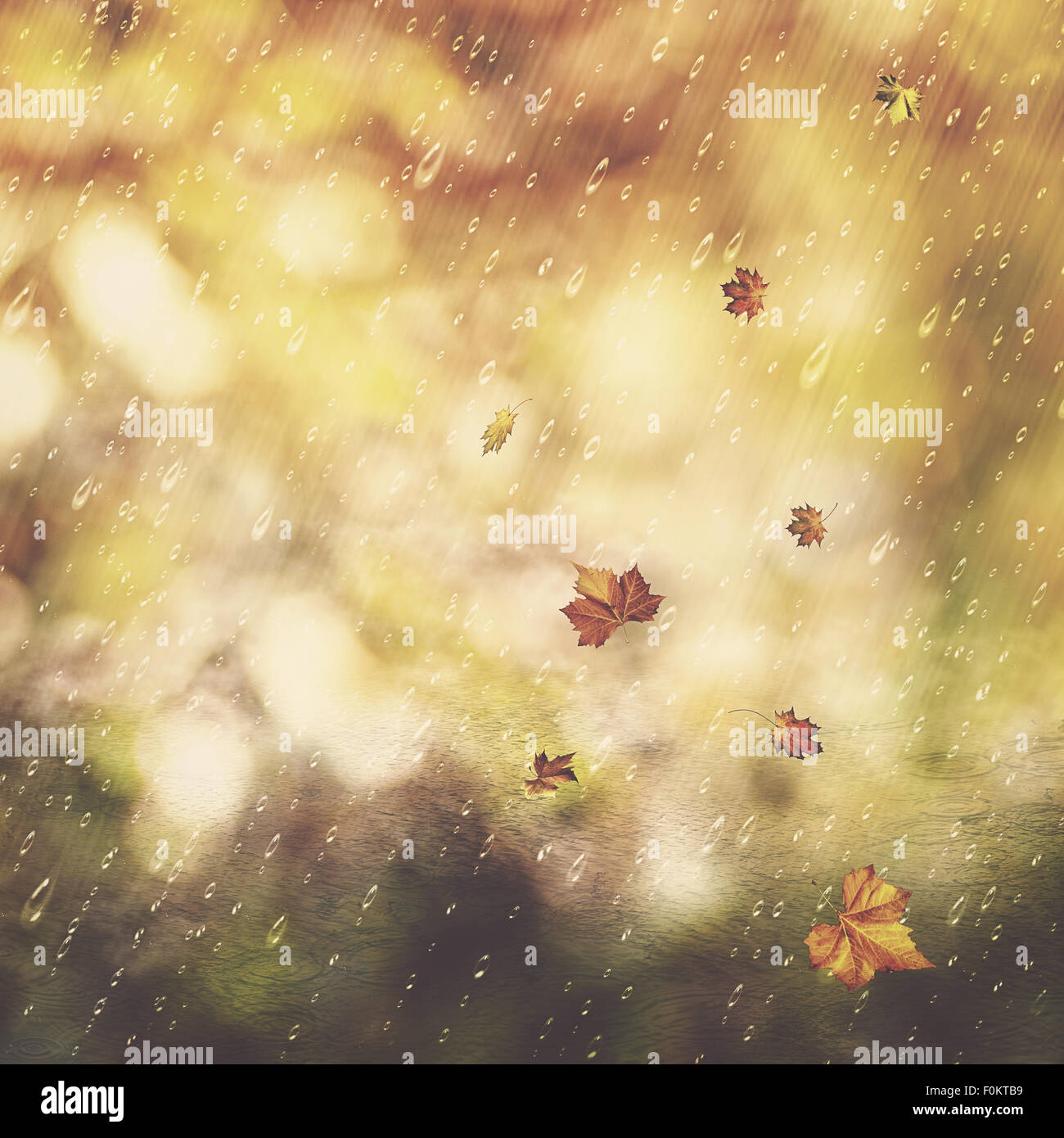 Autumn rain. Abstract seasonal backgrounds with fall and water drops ...