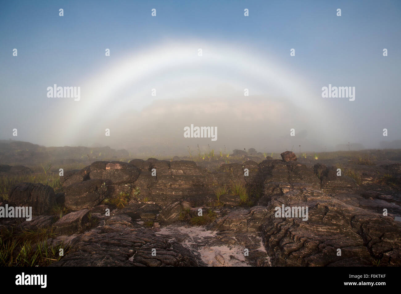 Rainbow and wild landscape at the top of Mount Roraima with fog. Gran ...