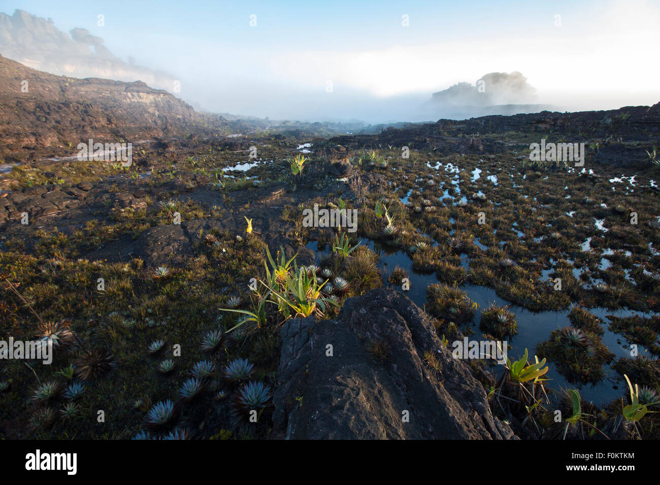 Landscape at the top of Mount Roraima in the morning with blue sky ...