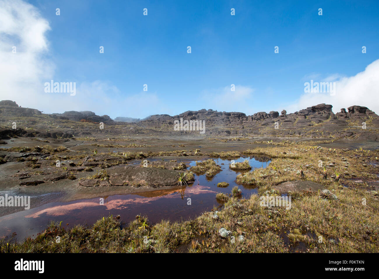 Wild landscape at the top of Mount Roraima with clouds early in the ...