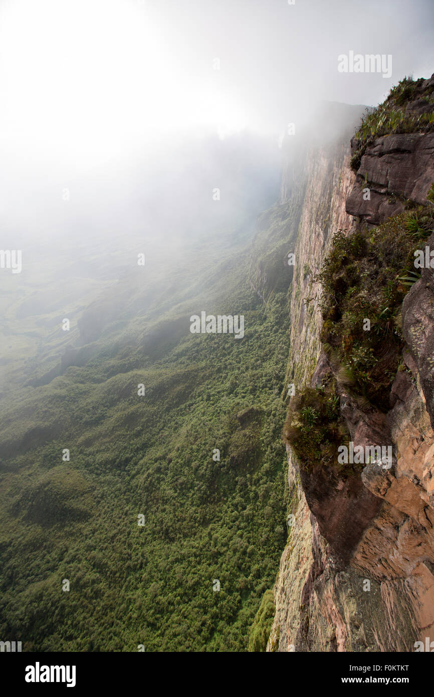 High angle view of the tropical forest and the cliff taken from the top ...
