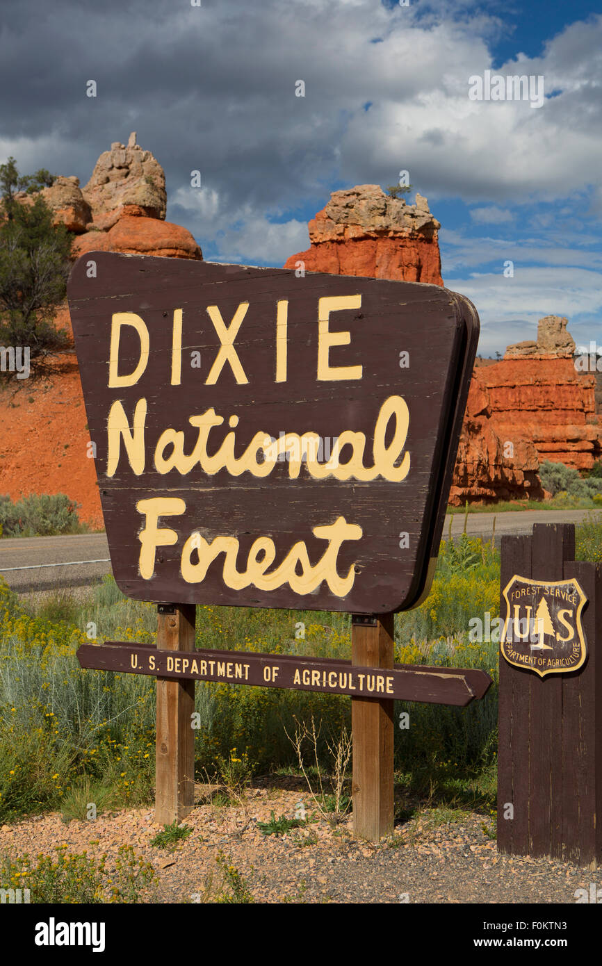Dixie National Forest sign along the road. In the background a ...
