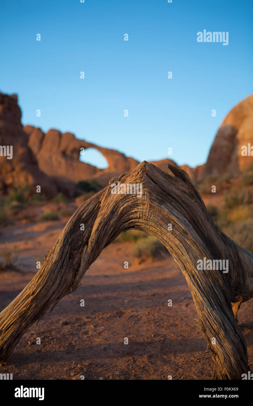 Double arch window hi-res stock photography and images - Alamy