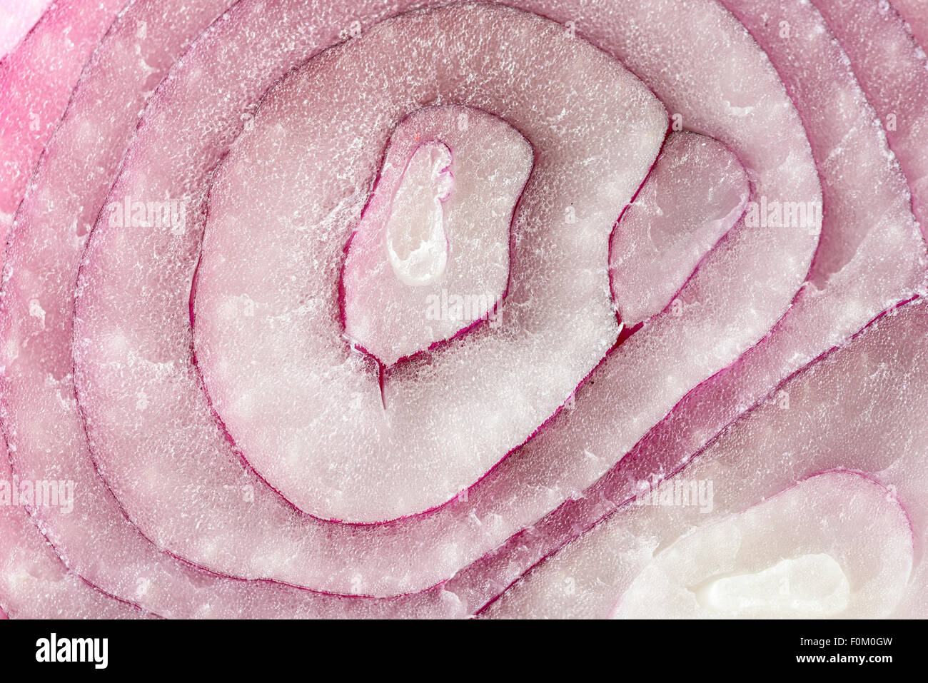 macro red onion food background Stock Photo - Alamy