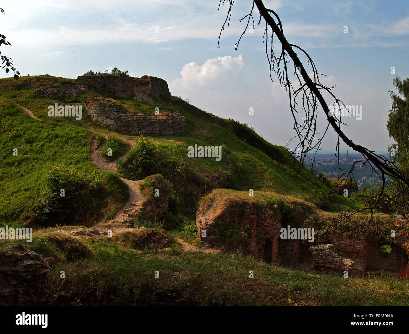 Tarnowski family hi-res stock photography and images - Alamy