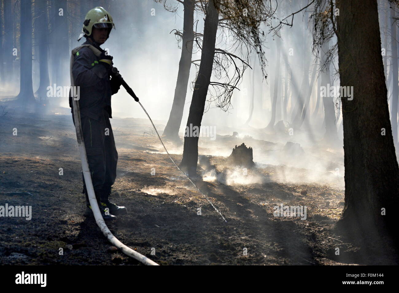 forrest fire, firefighters Stock Photo - Alamy