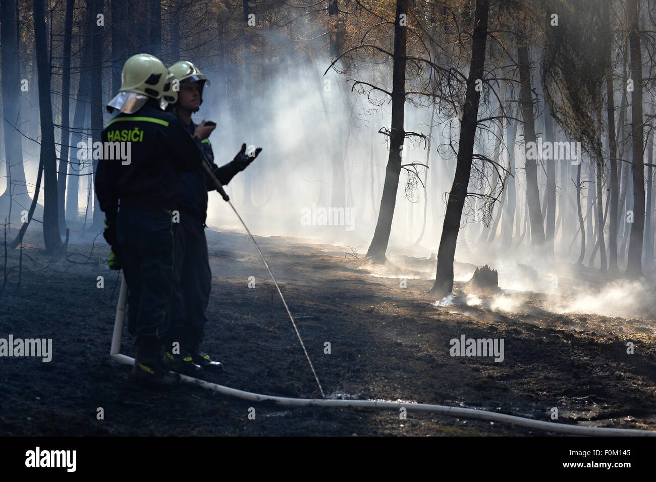 forrest fire, firefighters Stock Photo - Alamy
