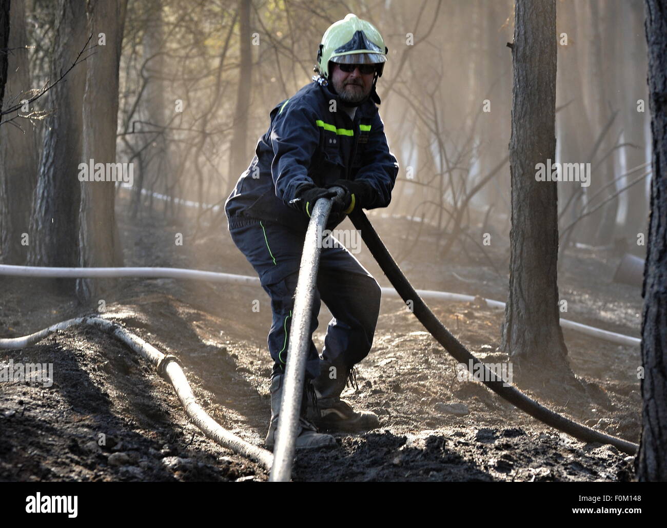 forrest fire, firefighters Stock Photo - Alamy