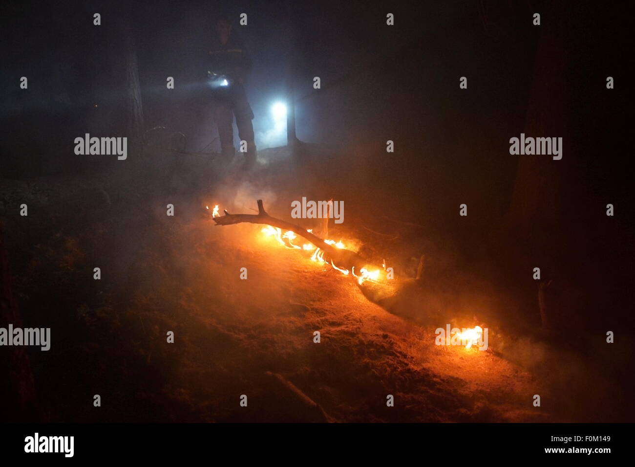 forrest fire, firefighters Stock Photo - Alamy