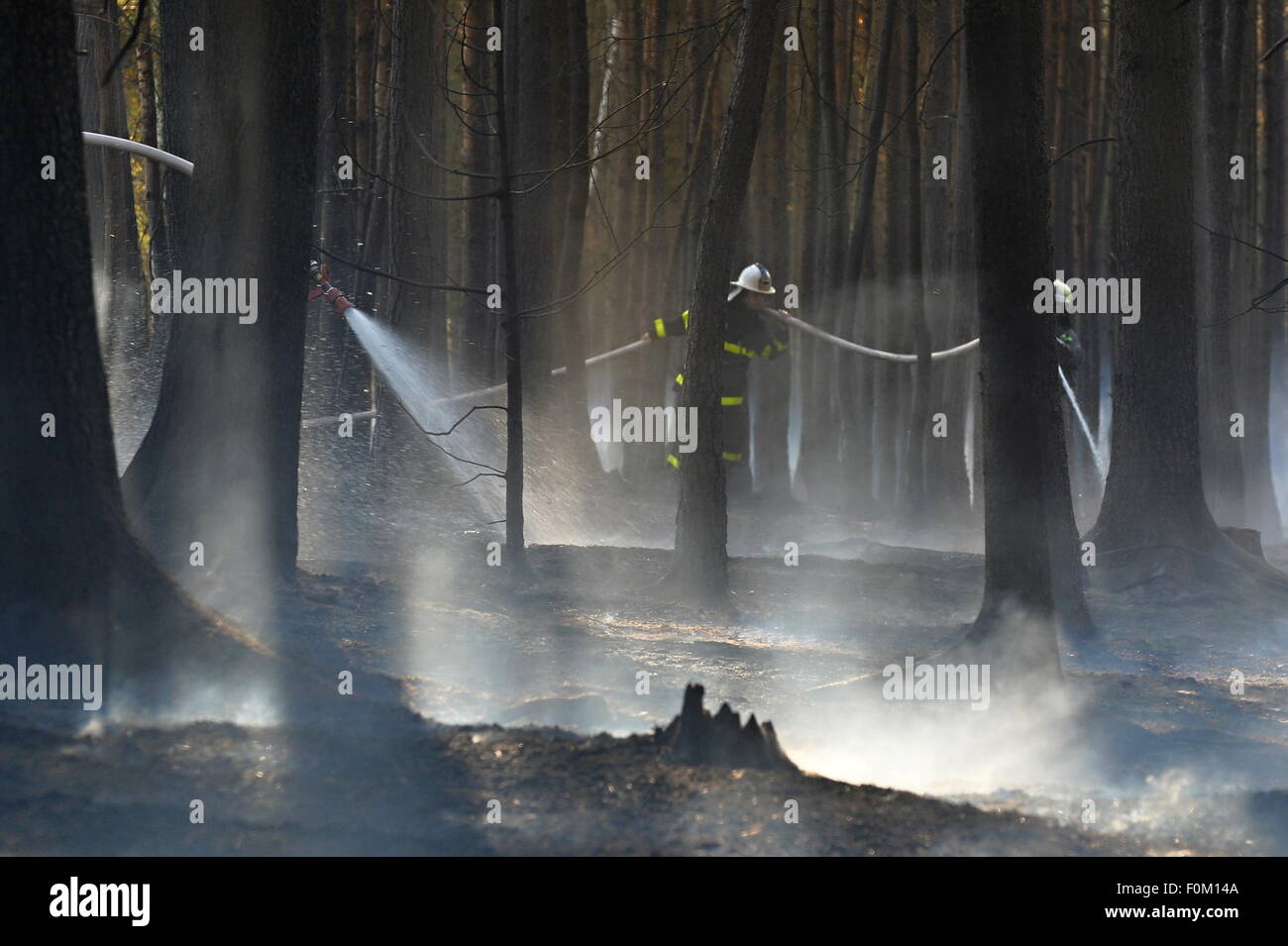 forrest fire, firefighters Stock Photo - Alamy