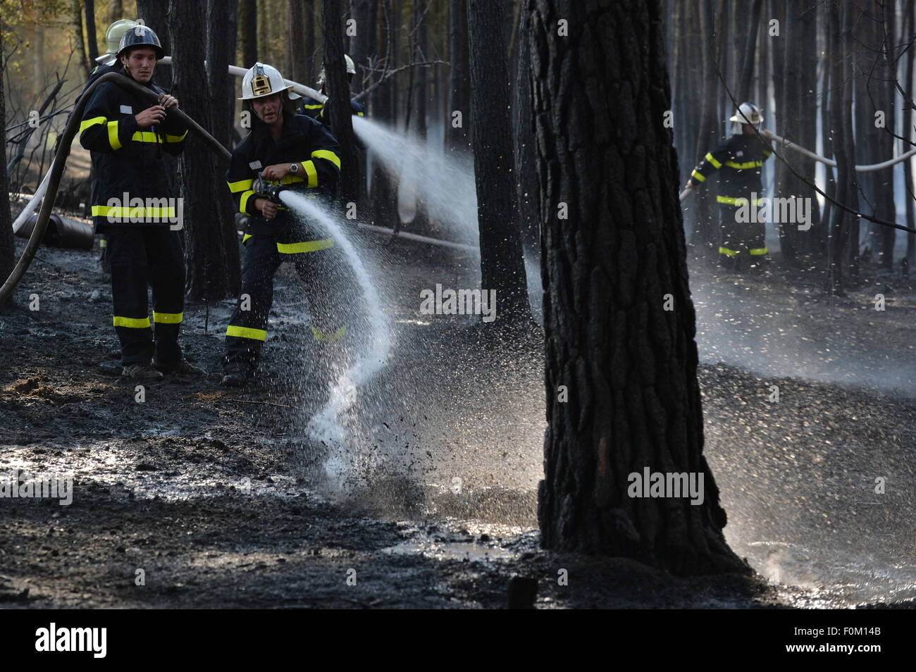 forrest fire, firefighters Stock Photo - Alamy
