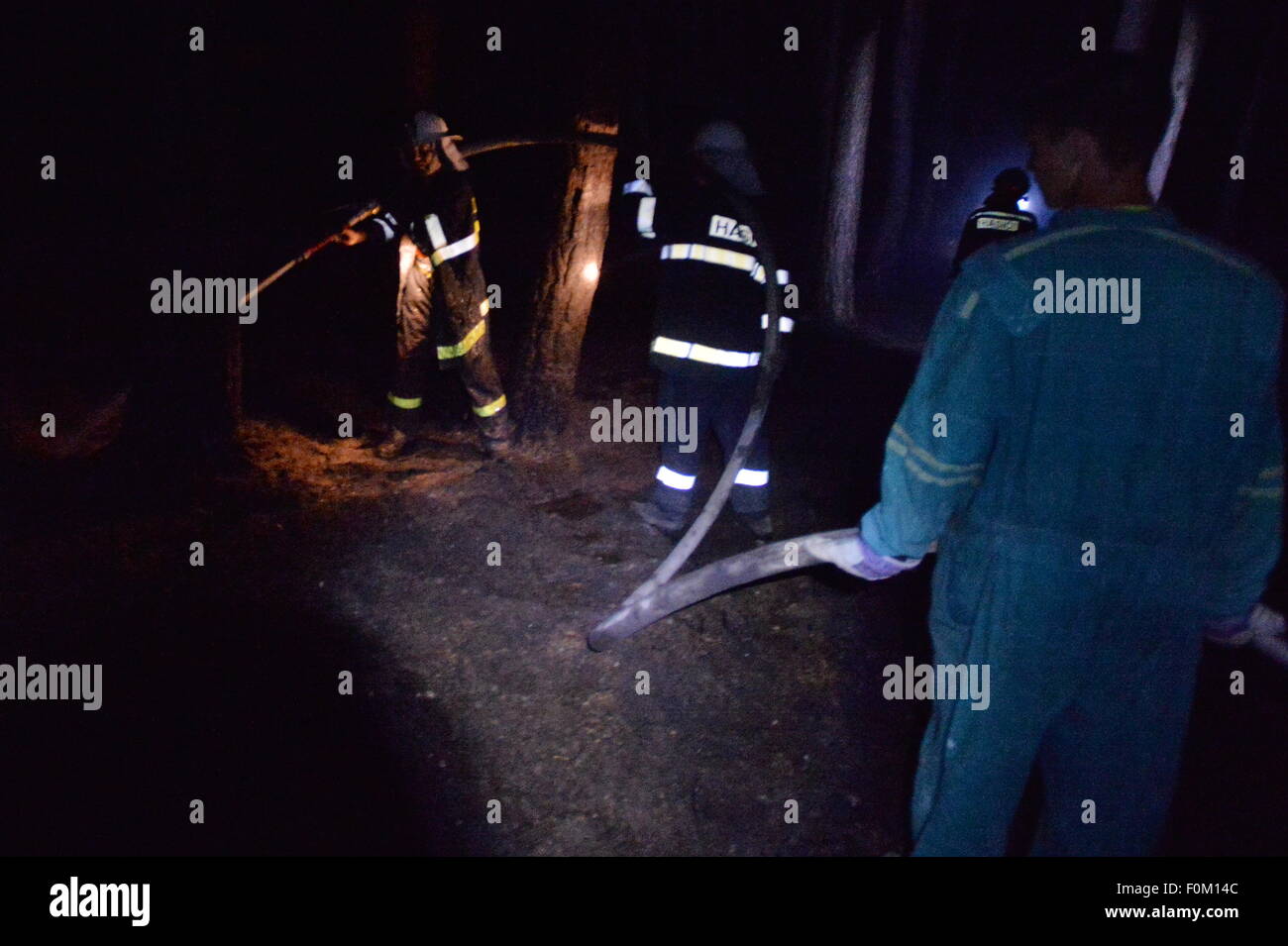 forrest fire, firefighters Stock Photo - Alamy