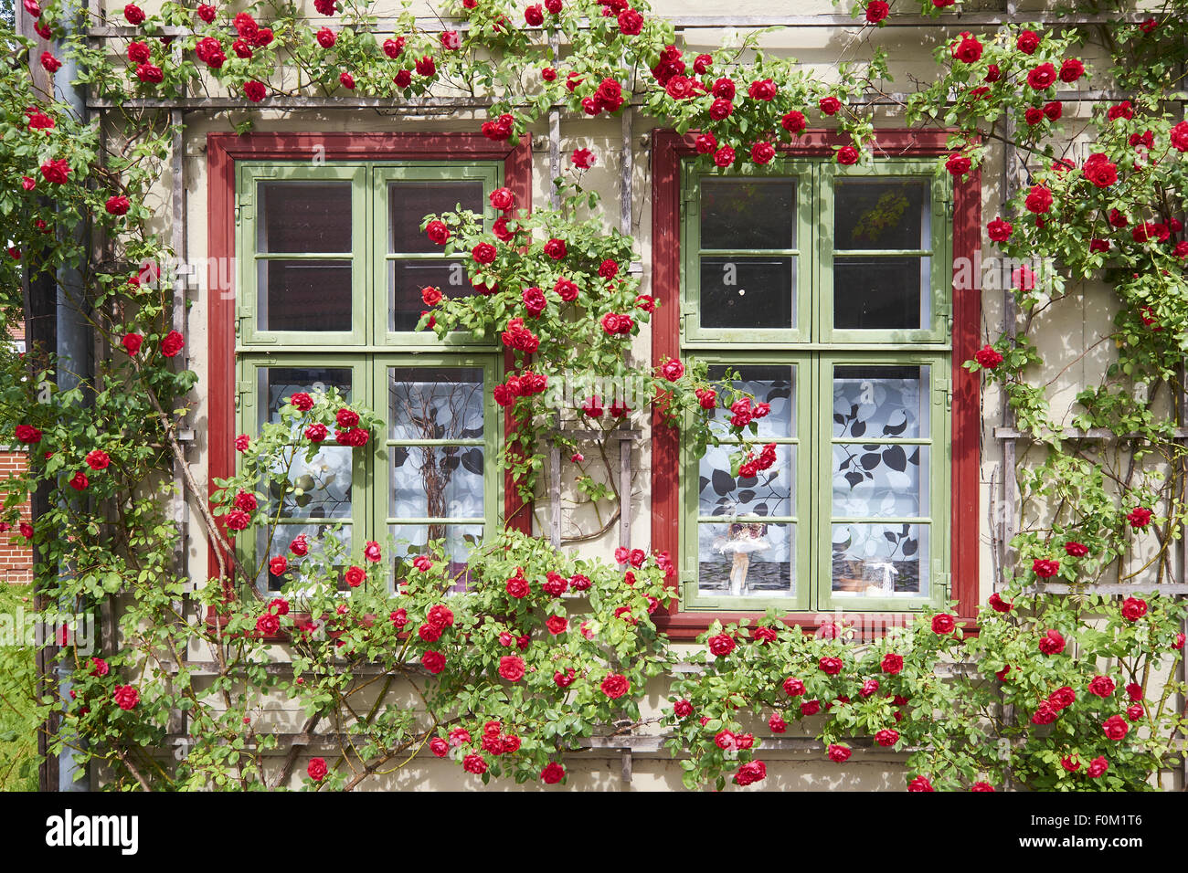 Facade with roses, Germany Stock Photo - Alamy
