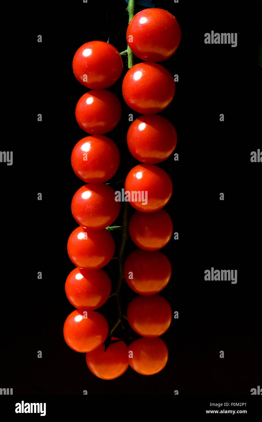 Cocktailtomaten, Cherry-Tomaten, Kirschtomaten Stock Photo - Alamy
