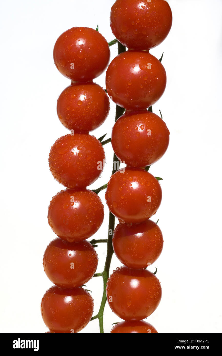 Cocktailtomaten, Cherry-Tomaten, Kirschtomaten Stock Photo - Alamy