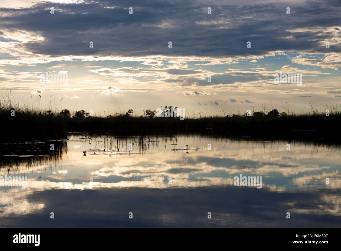Okavango delta in botswana and sunset - Moremi Reserve Stock Photo - Alamy Okavango delta in botswana and sunset - Moremi Reserve Stock Photo - Alamy