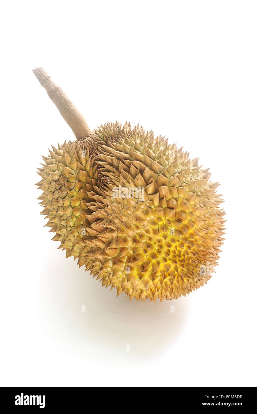 Durian texture hi-res stock photography and images - Alamy