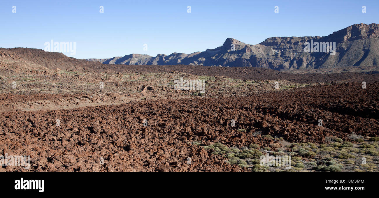 National park, volcanic based ground. Tenerife Stock Photo - Alamy
