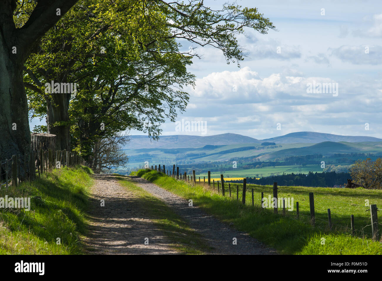 Cheviot hills northumberland summer hi-res stock photography and images ...