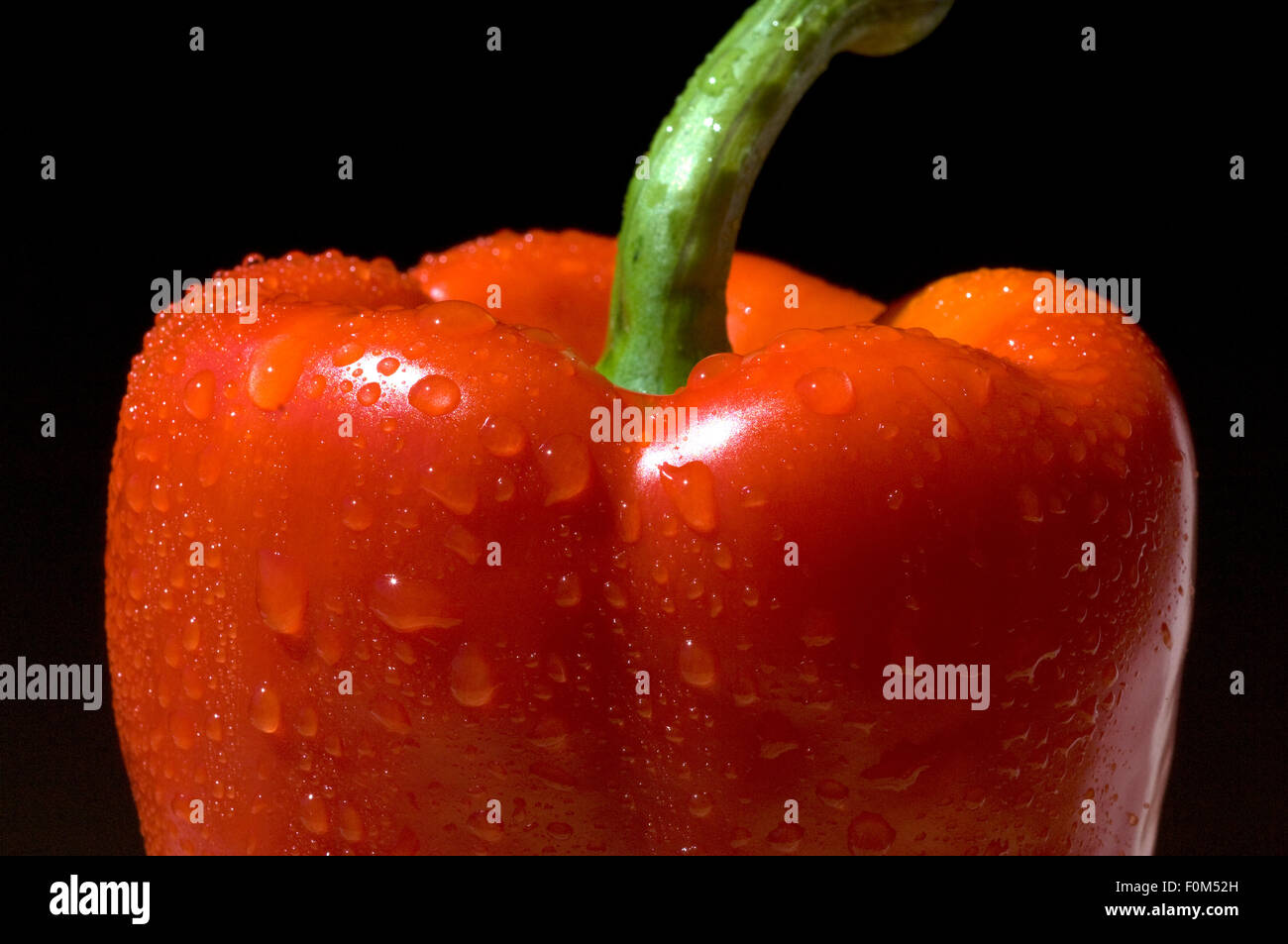 Paprika; Capsicum; annuum; Paprikaschote Stock Photo - Alamy