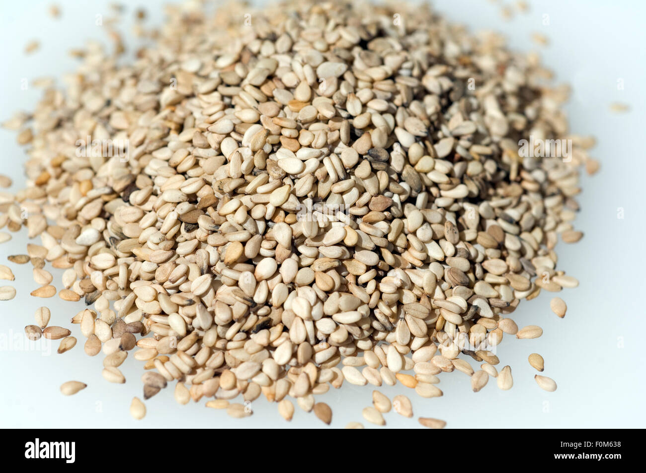 Sesamsamen; Sesam; Sesamum indicum Stock Photo - Alamy
