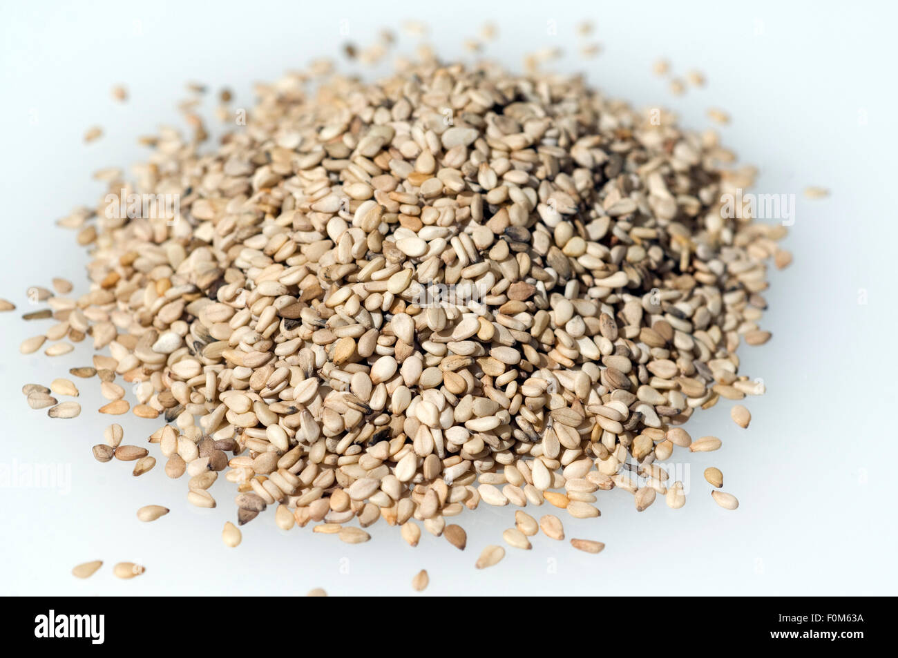 Sesamsamen; Sesam; Sesamum indicum Stock Photo - Alamy