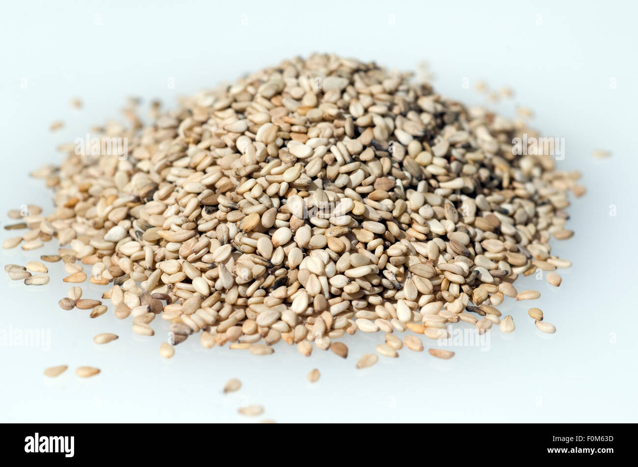 Sesamsamen; Sesam; Sesamum indicum Stock Photo - Alamy
