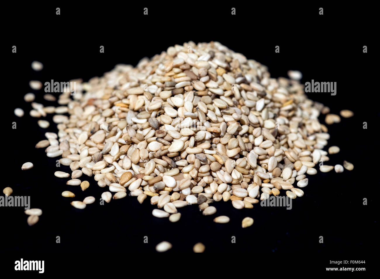 Sesamsamen; Sesam; Sesamum indicum Stock Photo - Alamy