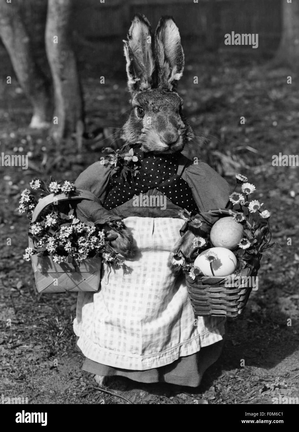 Rabbit egg in basket Black and White Stock Photos & Images - Alamy