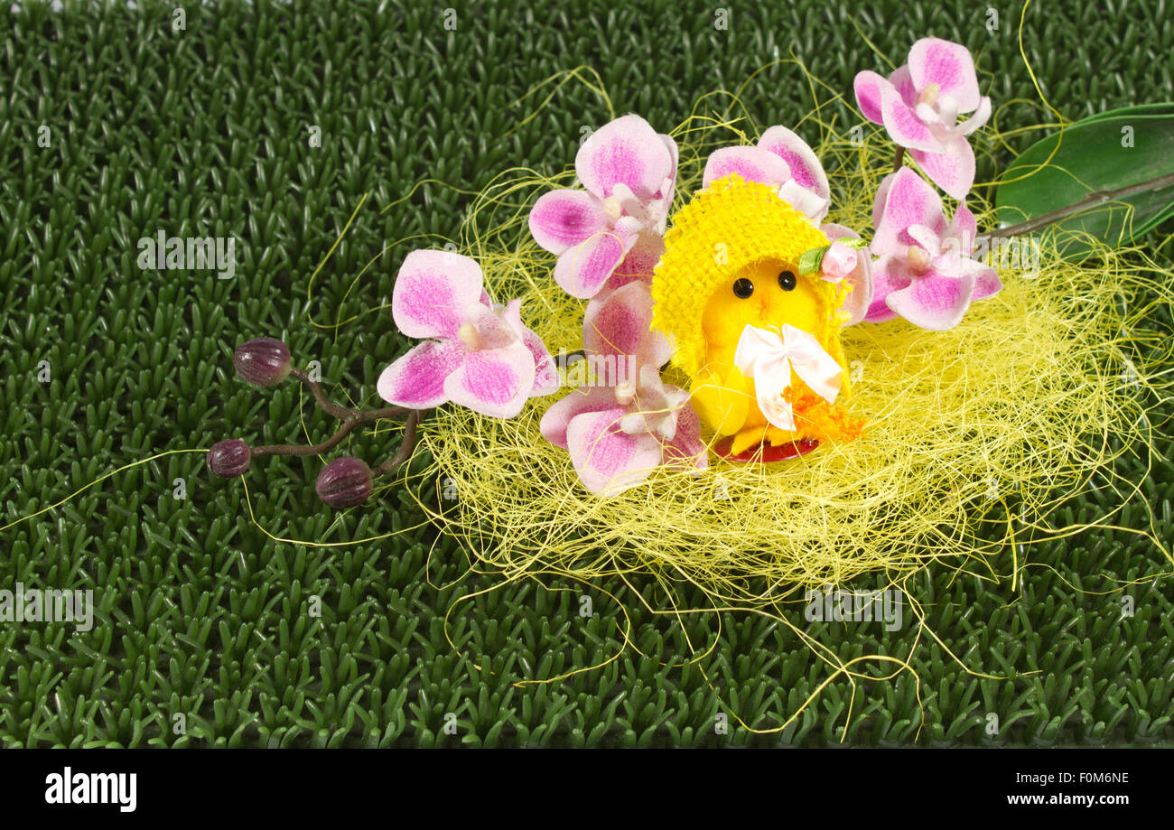 Yellow chick on the grass with flowers Stock Photo - Alamy