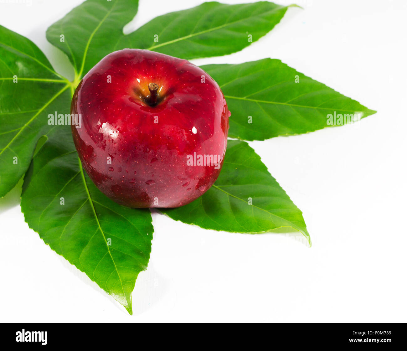 Red apple with a leaf isolated Stock Photo - Alamy