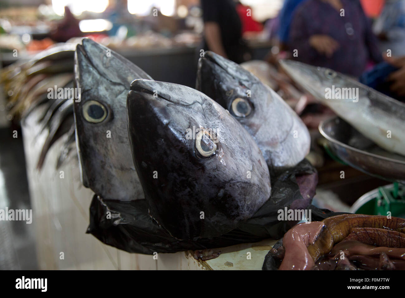 The Waterfront Fish Market Sandakan Sabah Borneo Malaysia Stock Photo ...