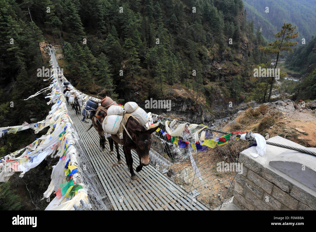 The Larja suspension Bridge over the Dudh Koshi river, near Namche ...