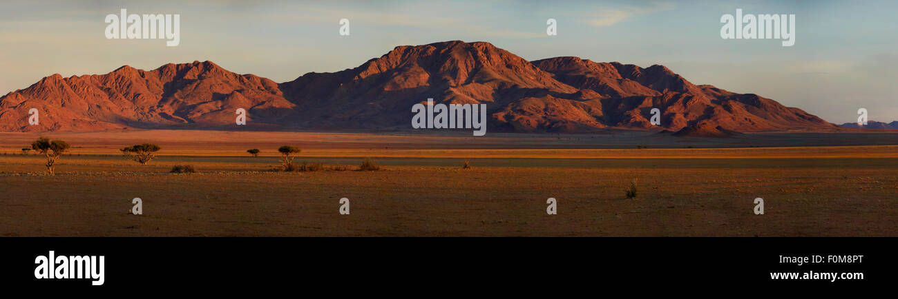 Namibia desert hi-res stock photography and images - Alamy