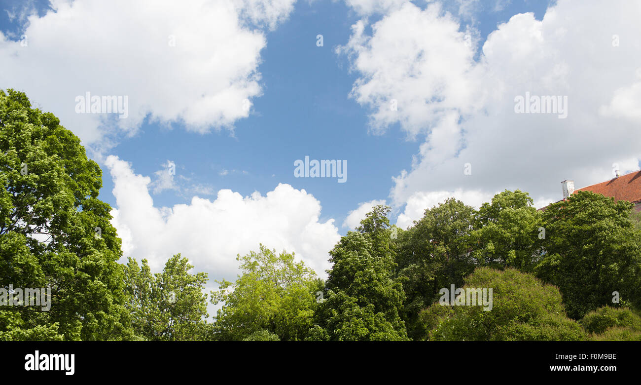 trees and house roof over blue sky with clouds Stock Photo - Alamy