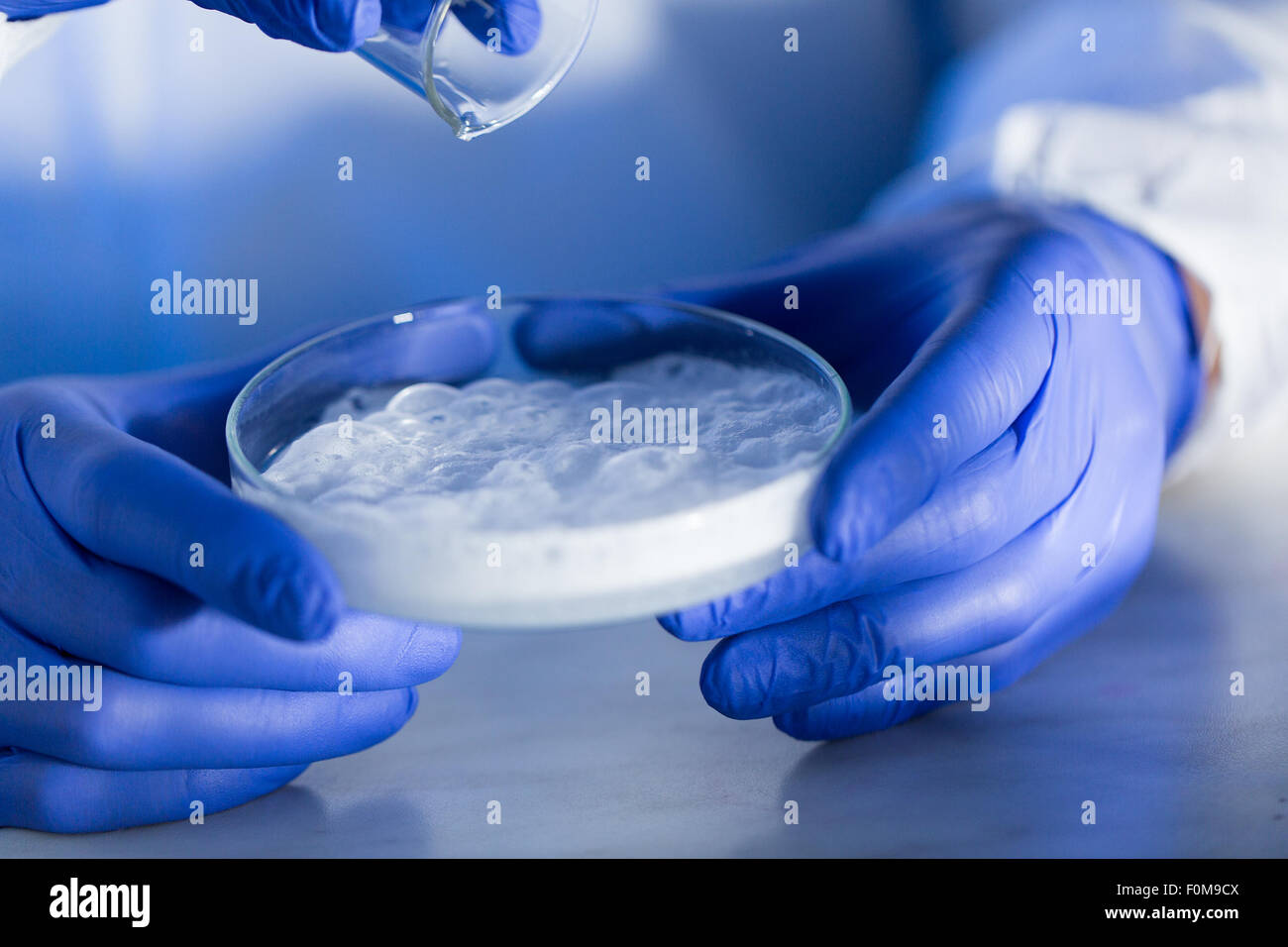 Lab technicians hands in gloves hi-res stock photography and images - Alamy