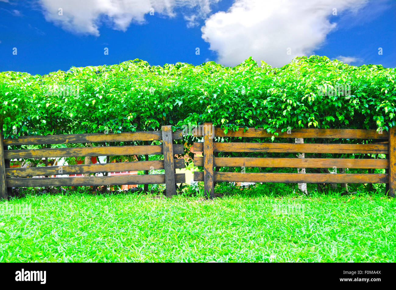 Light blue fence hi-res stock photography and images - Alamy