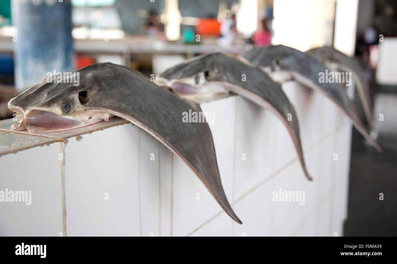 The Waterfront Fish Market Sandakan Sabah Borneo Malaysia Stock Photo ...