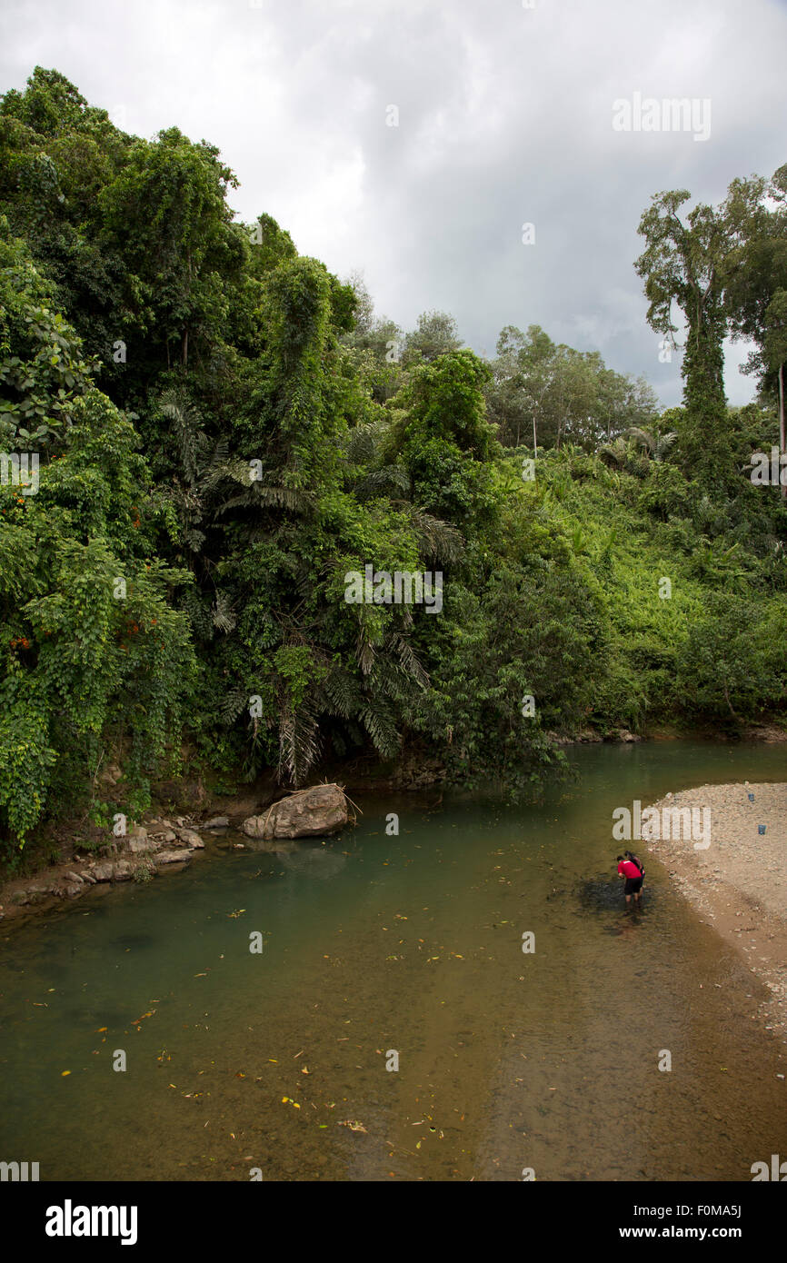 Sungai Moroli Fish Massage Ranau, Malaysia Stock Photo - Alamy