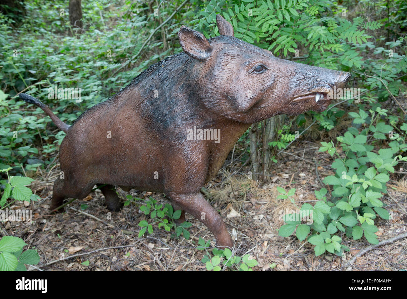 Archeotherium extinct warthog like prehistoric pig hi-res stock ...