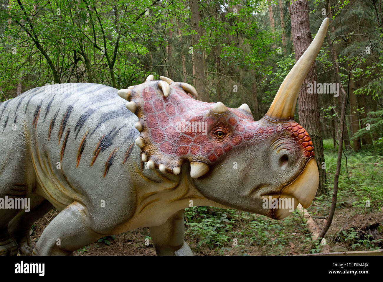 Centrosaurus is a genus of herbivorous ceratopsian dinosaurs from the ...