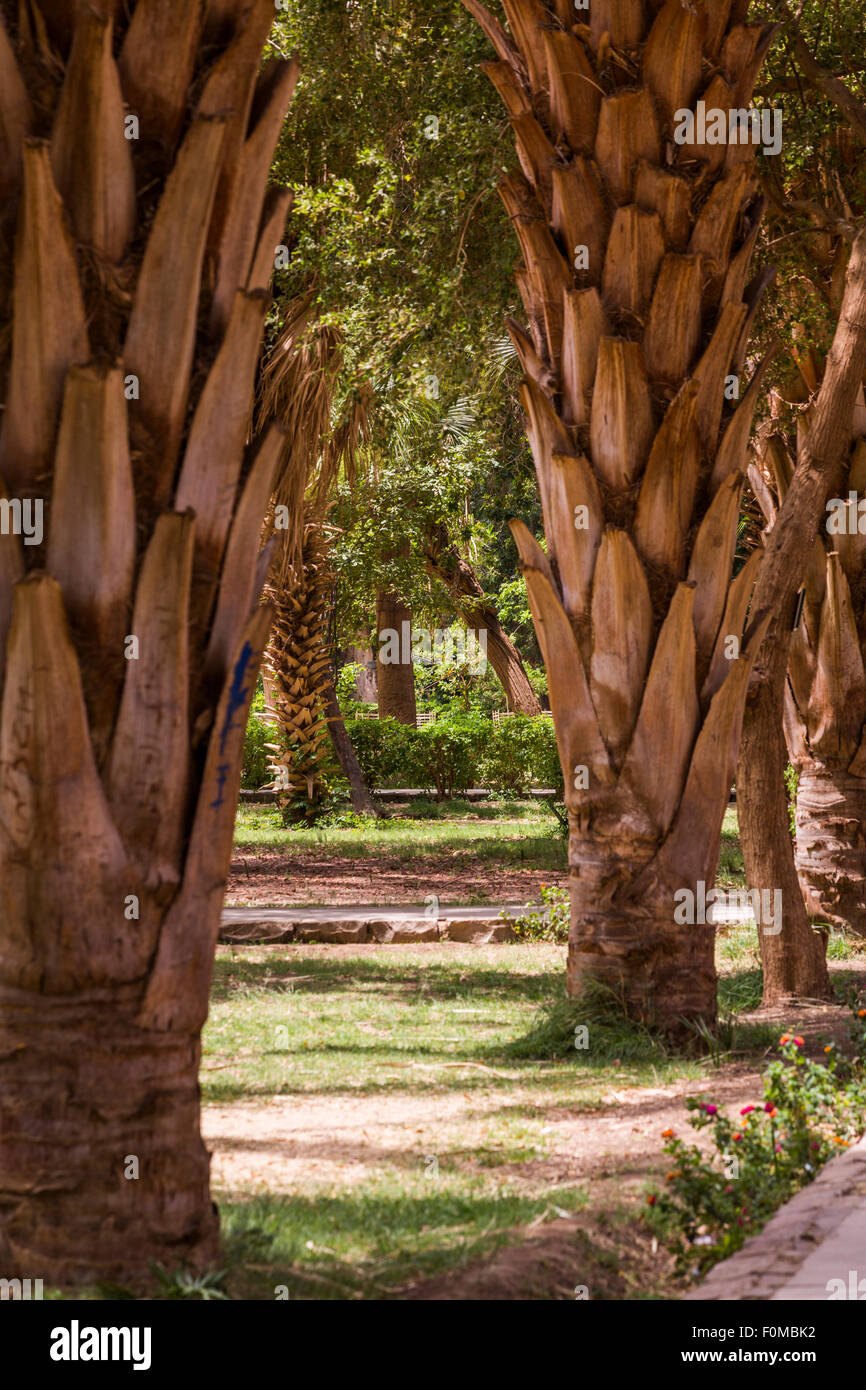 Aswan botanical garden hi-res stock photography and images - Alamy