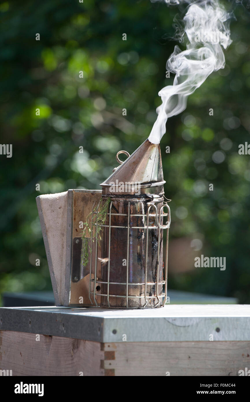 Beekeeper with smoker in a veil and hood to protect Stock Photo - Alamy