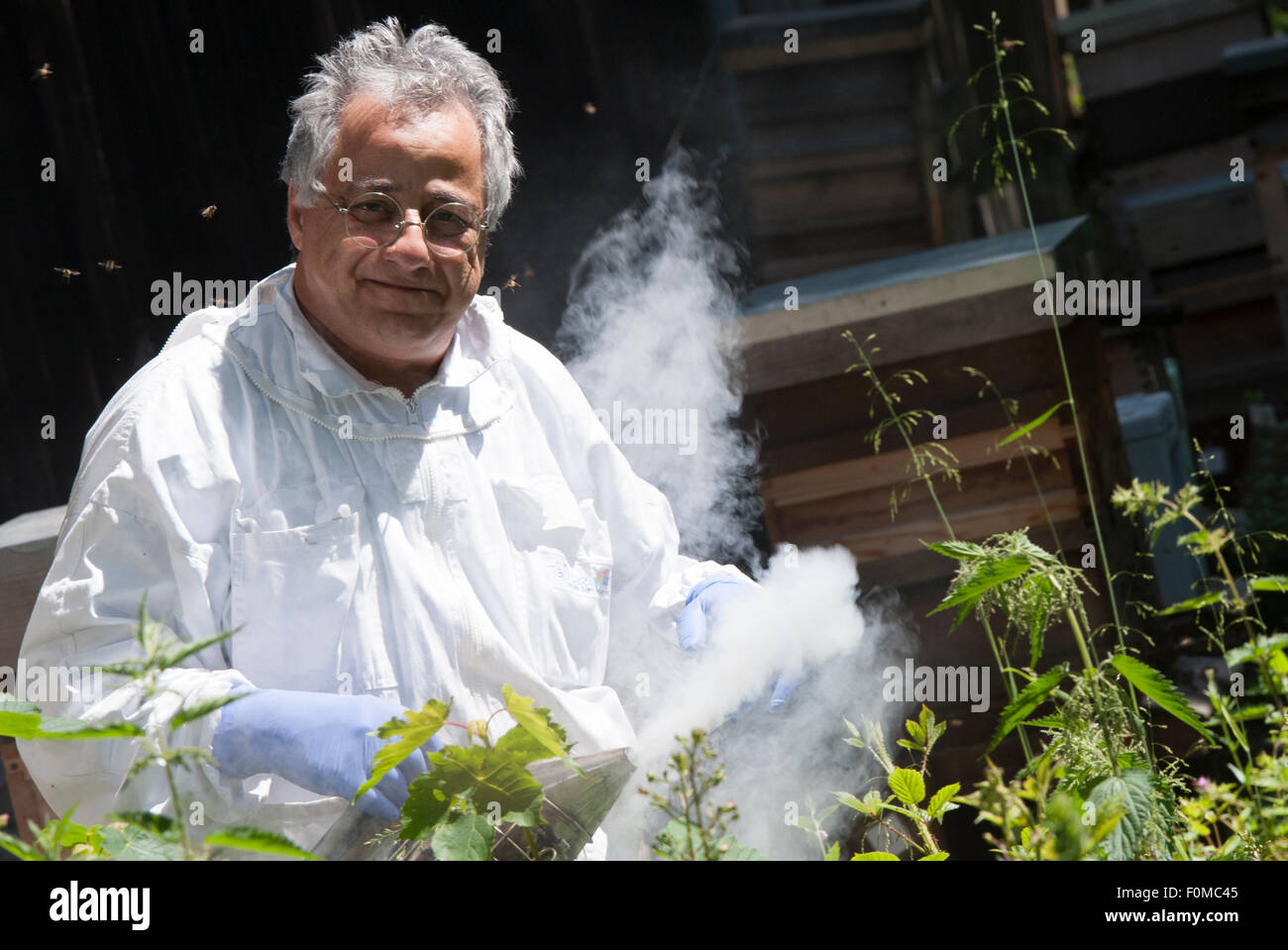 Beekeeper with smoker in a veil and hood to protect Stock Photo - Alamy