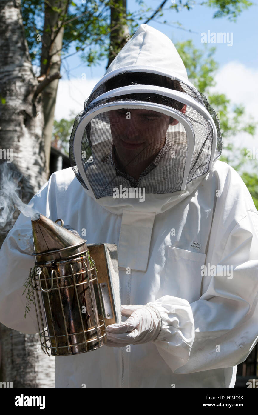 Beekeeper with smoker in a veil and hood to protect Stock Photo - Alamy