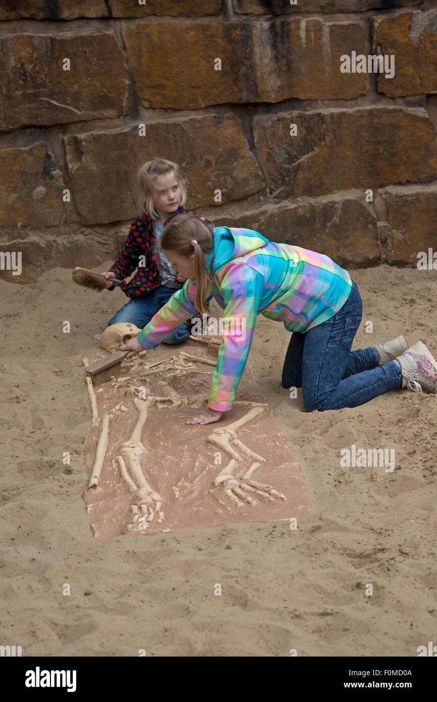 Two young girls archeologists excavating skeleton Dinosaurier Park ...