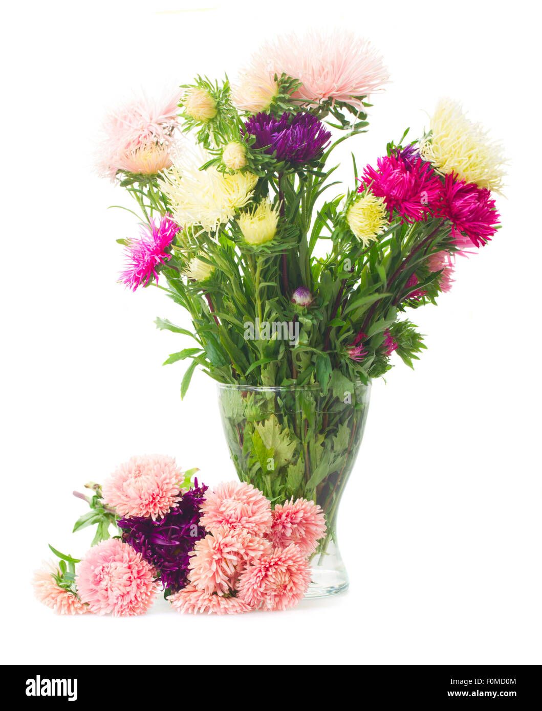 Beautiful blue aster flowers Cut Out Stock Images & Pictures - Alamy