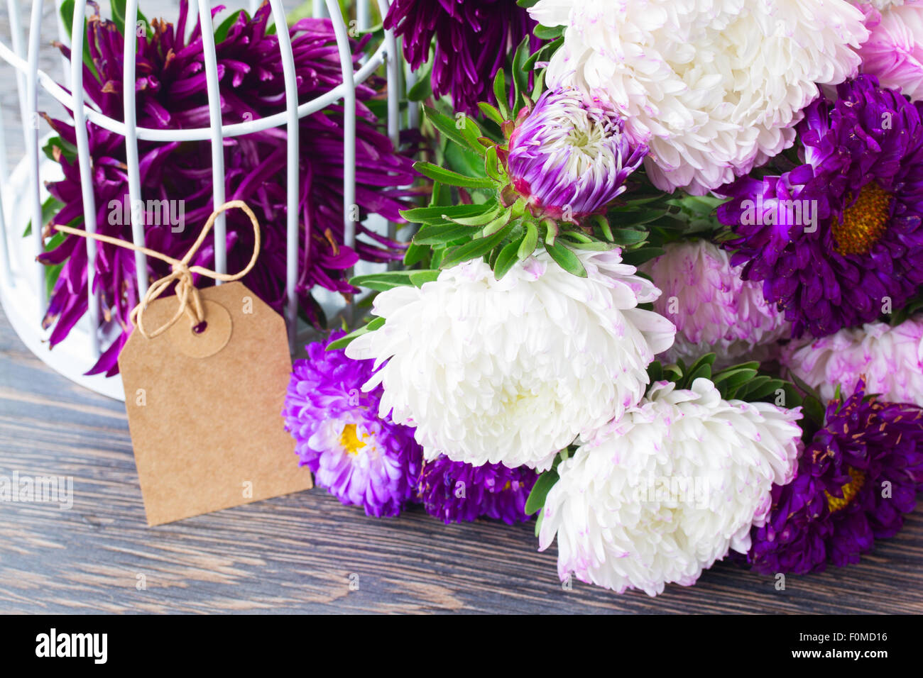 mix of aster flowers Stock Photo - Alamy